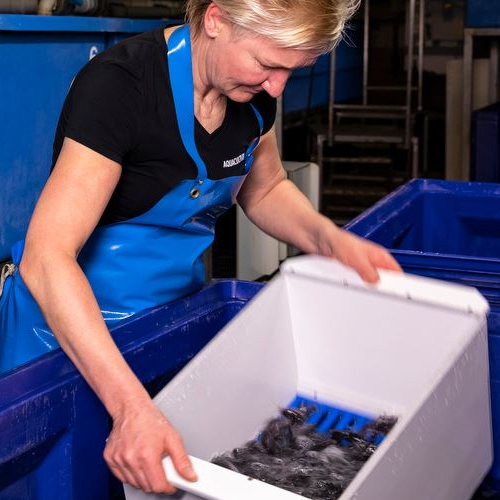 Aquaculture ID – webshop of Aquaculture ID